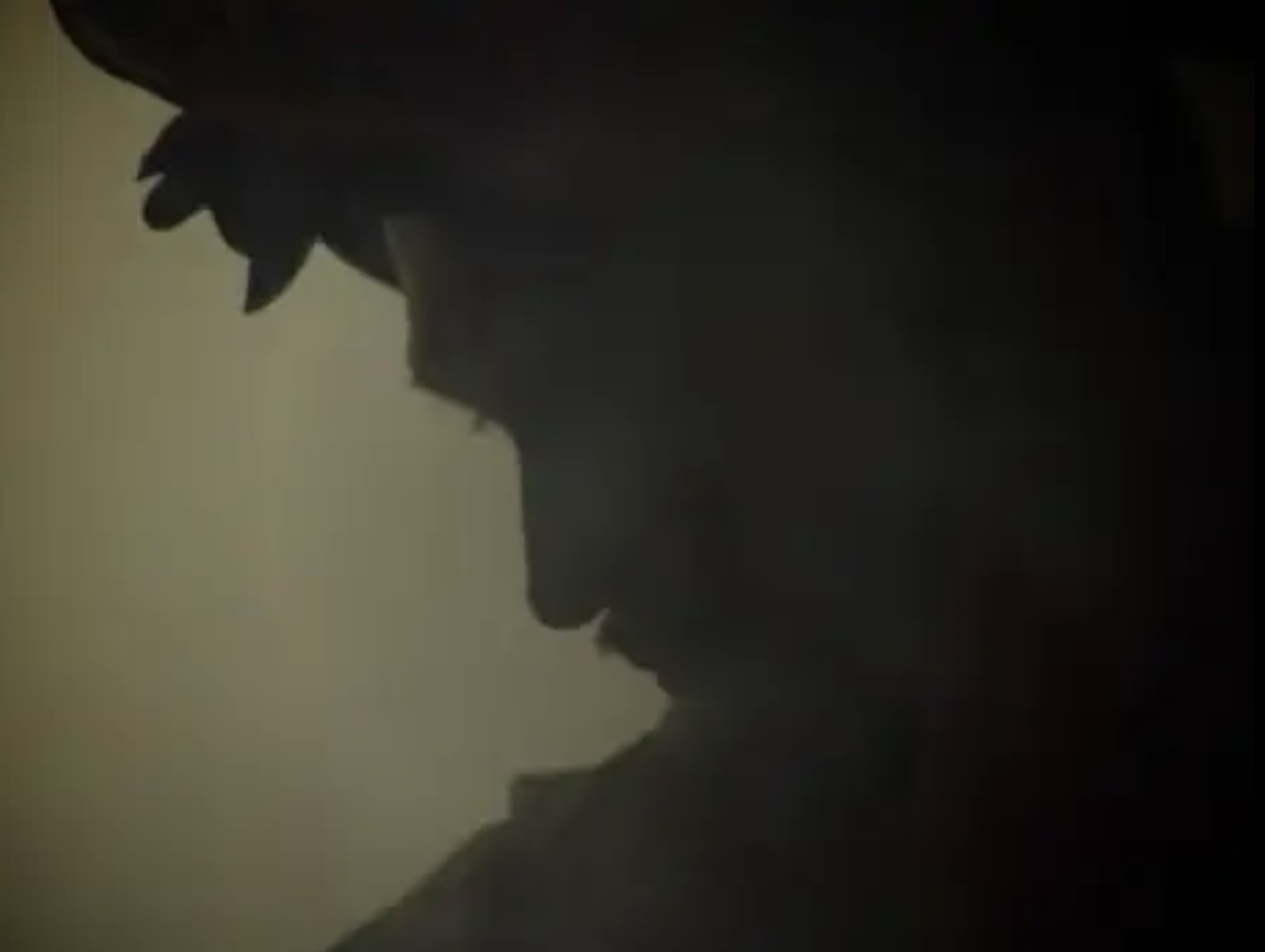 Short Film: Stolen | Works | Mako Fuwa